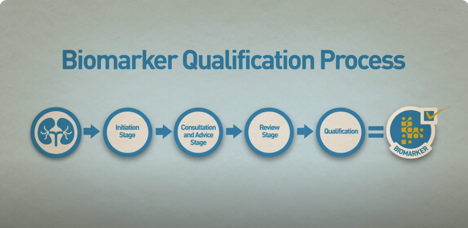 FDA's Imminent BMD Decision - Encode Ideas